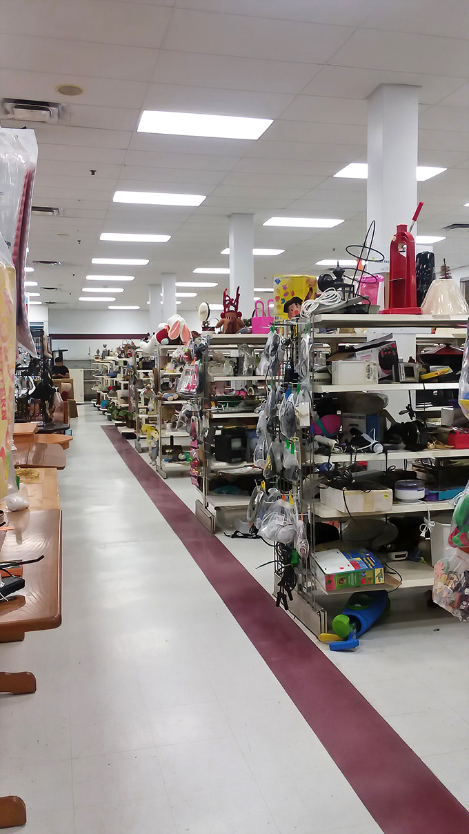This aisle isn't just housewares—it's a museum of America's kitchen evolution, from fondue pots to bread machines that were used exactly twice.