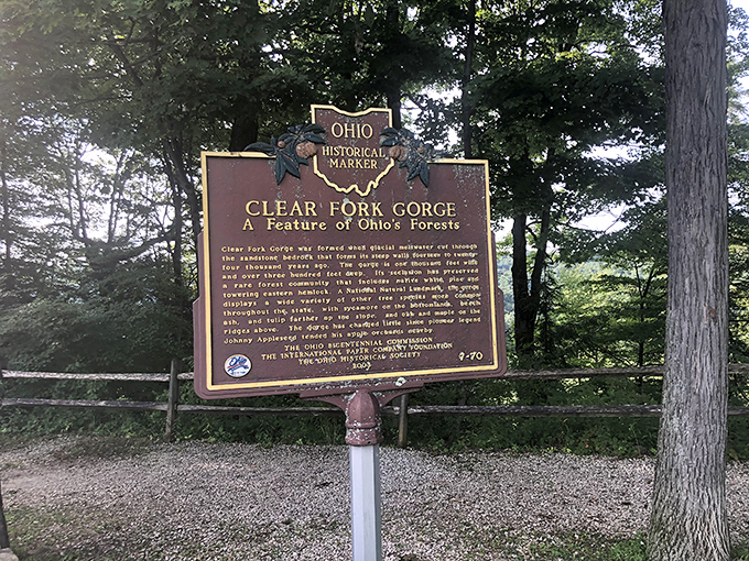 History etched in bronze tells the story of Clear Fork Gorge. This isn't just any ravine—it's Ohio's geological masterpiece carved over countless millennia.