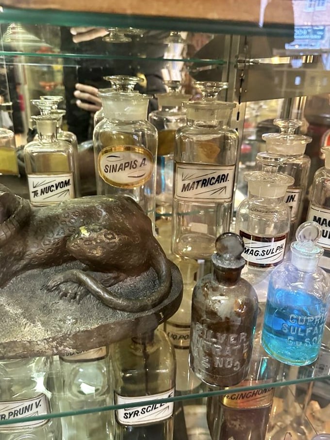 These vintage apothecary bottles once contained mysterious elixirs and remedies—now they're conversation pieces that outshine any modern medicine cabinet.