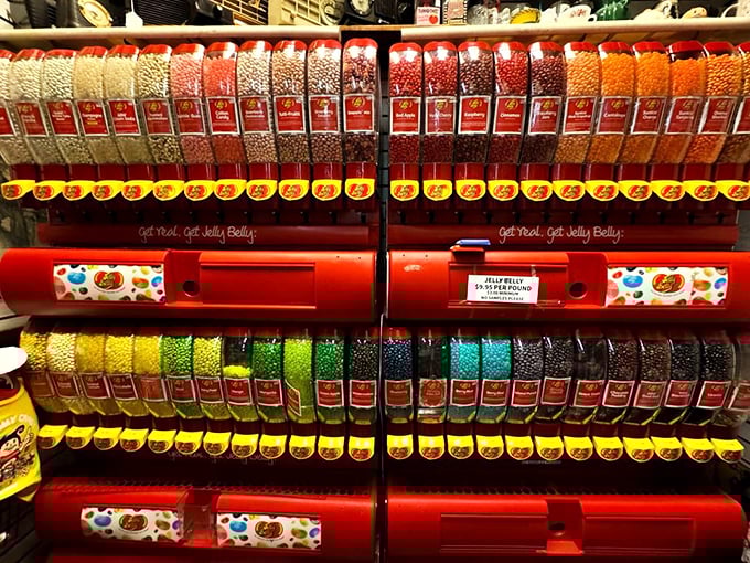 The Jelly Belly color spectrum rivals any rainbow, organized with the precision of a candy scientist's periodic table of sweet elements.