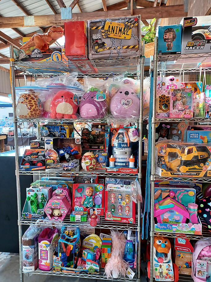 New toys mingle with nostalgic favorites in this childhood dreamland, proving some things never go out of style—just out of stock at regular stores.