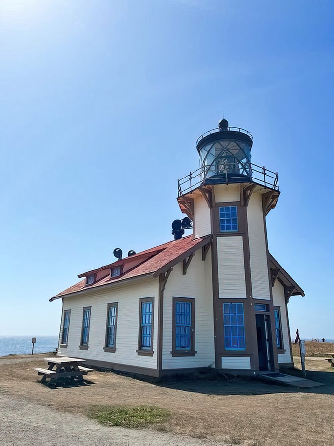 This lighthouse hasn't just guided ships – it's photobombed thousands of tourist photos with its quintessential coastal charm.