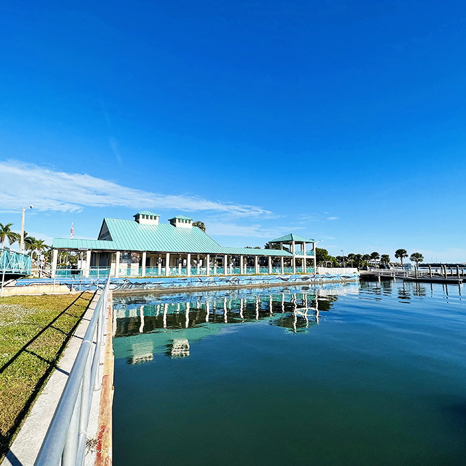 Waterfront architecture that actually complements its surroundings – a Florida miracle rarer than a snowstorm in Miami.