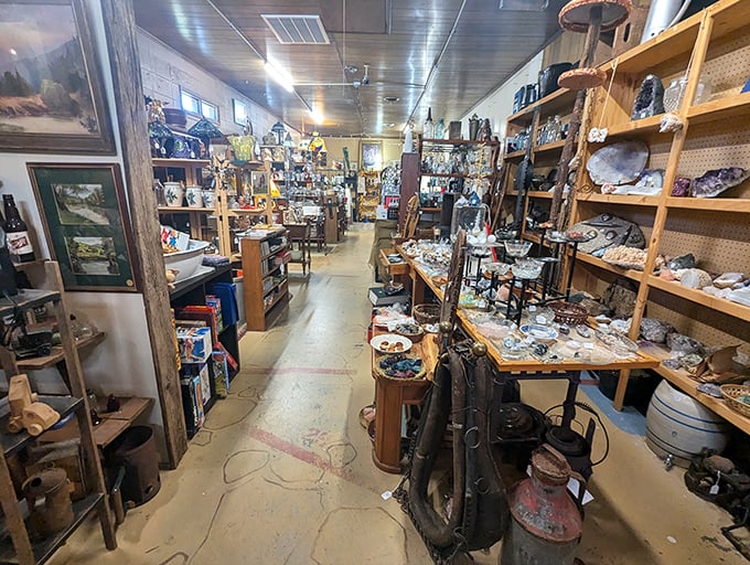 Every aisle offers a new adventure – like archaeological digs where the artifacts come with price tags instead of dust.
