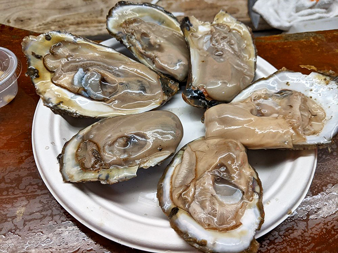 These oysters aren't just served – they're presented, like the briny jewels of the Chesapeake that they are. Mignonette sauce optional, amazement guaranteed.
