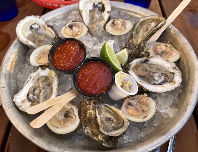 Oysters on the half shell—nature's perfect appetizer. Just add a squeeze of lime and a dash of courage.