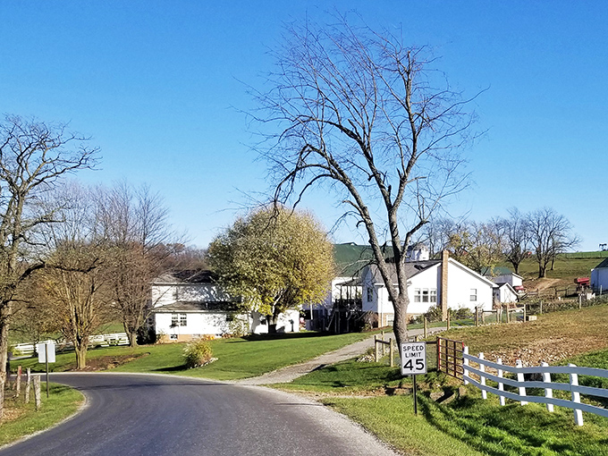 The peaceful countryside surrounding Berlin offers a visual exhale from the constant notifications and deadlines of modern life.