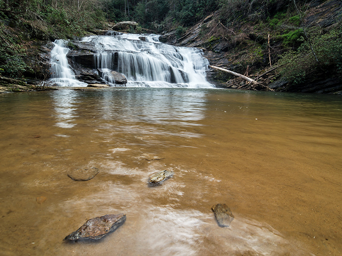 Panther Creek Falls cascades with hypnotic grace, creating nature's version of a meditation app—but with better resolution and no subscription fee.