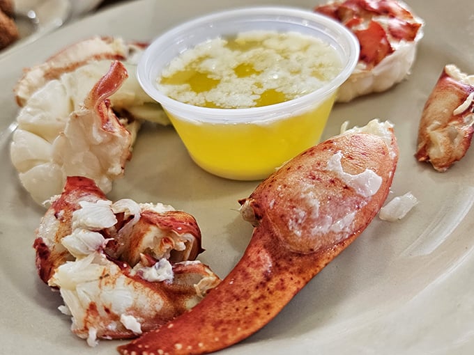 Sweet lobster meat ready for its butter bath—a maritime romance story that ends happily in your stomach rather than on the silver screen.