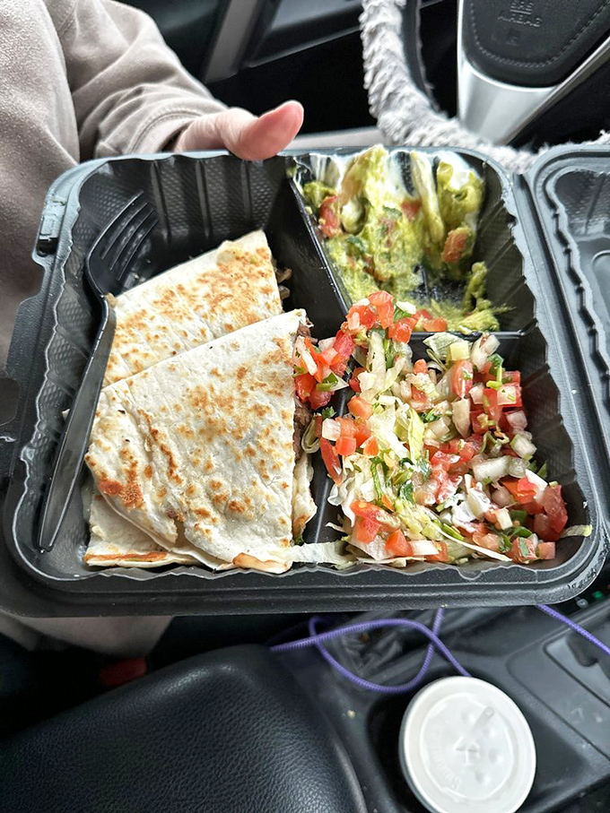 These quesadillas don't just flirt with perfection—they're in a committed relationship with it. Crispy exterior, molten interior, happiness throughout.