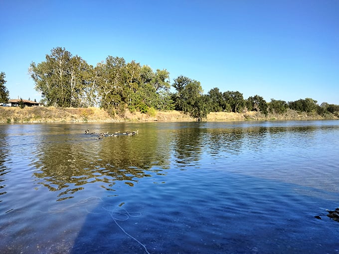 The Sacramento River flows by unhurried, offering premium waterfront views at non-premium prices—Mother Nature's best real estate deal.