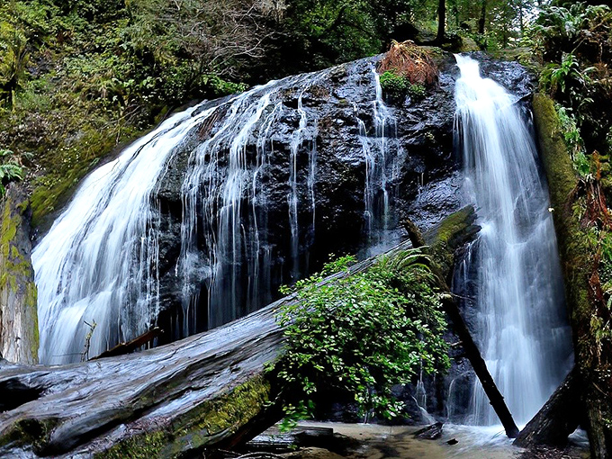 Russian Gulch waterfall doesn't just flow—it performs, turning the fern-lined forest into nature's version of a Broadway show.