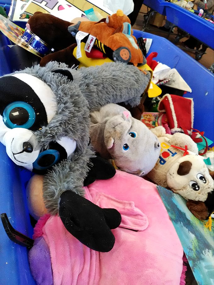 Stuffed animal adoption center where forgotten fuzzy friends with hopeful button eyes wait for their second chance at being someone's beloved companion.