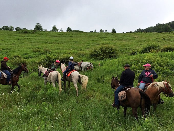 Saddle up for Summit Trail Rides through Potter County's rolling meadows. These riders aren't just on horseback – they're experiencing Pennsylvania the way settlers once did.
