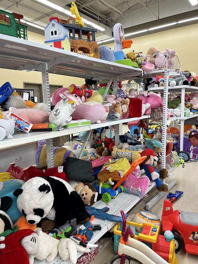 The stuffed animal mountain range—a plush paradise where forgotten teddy bears and pandas wait for second-chance hugs.