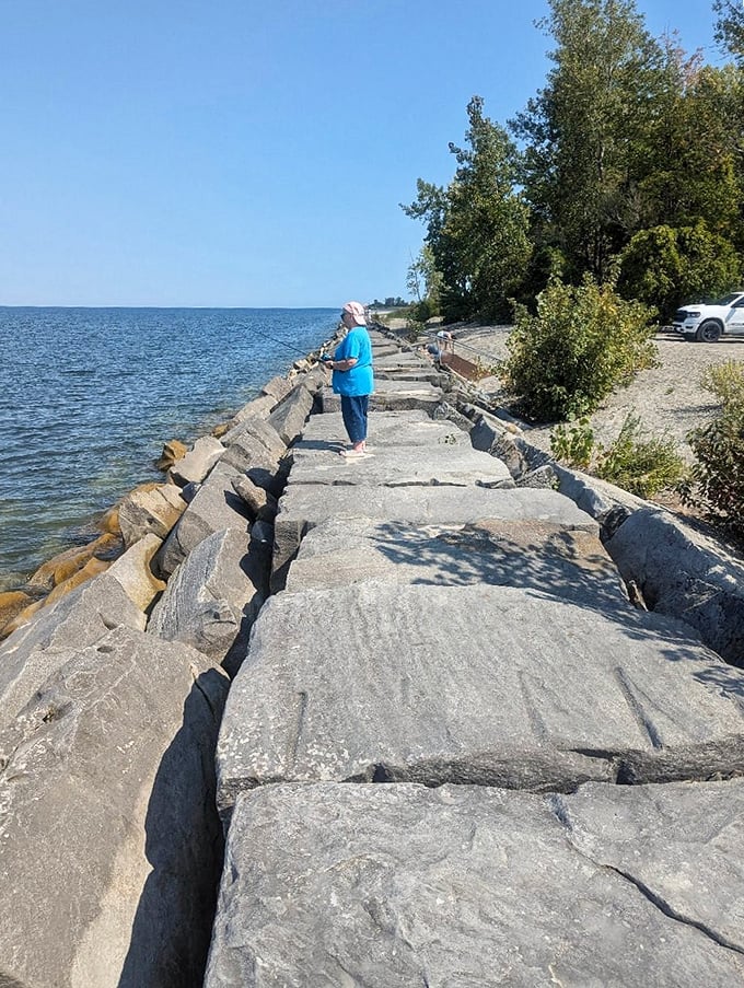 Walnut Beach offers a mile of sandy shoreline where Lake Erie laps gently, providing free therapy sessions disguised as sunset views.