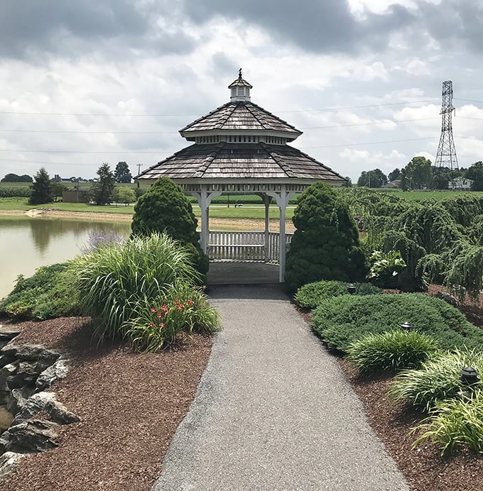 This gazebo isn't just picturesque—it's the kind of spot where proposals happen and photographers frantically adjust their settings to capture perfect golden hour light.