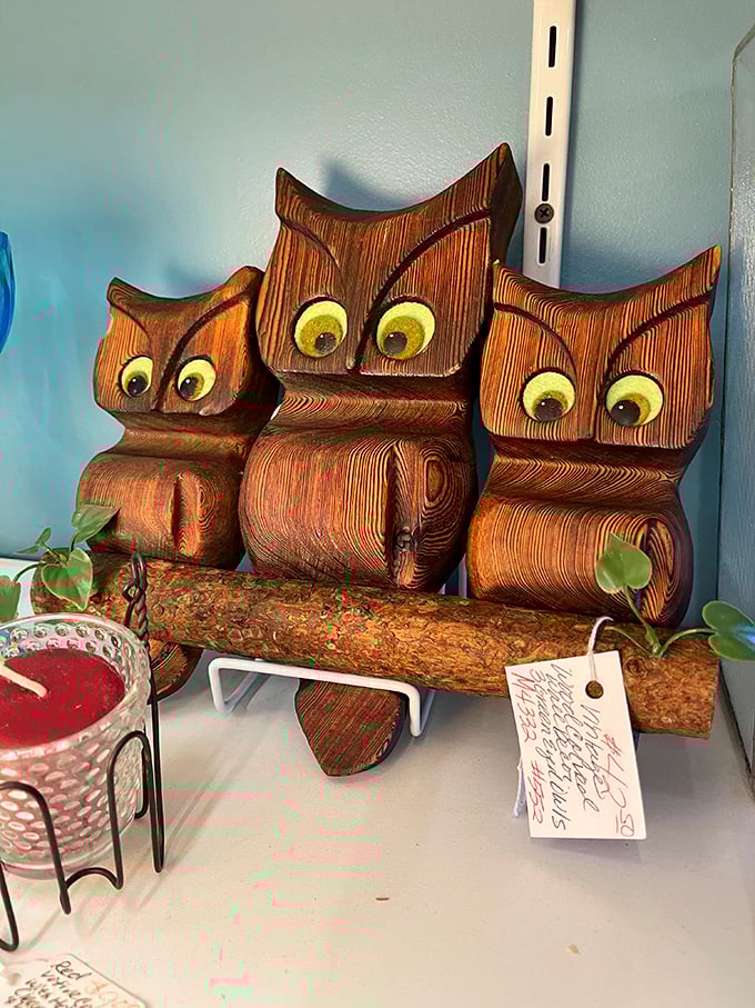 These wooden owls aren't just decor—they're judging your other purchases with those giant yellow eyes. And I kind of love them for it.