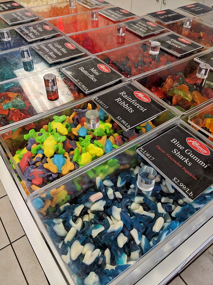 These aren't your average gummy bears – they're technicolor works of art. Blue sharks swimming in a sea of rainbow-colored companions.