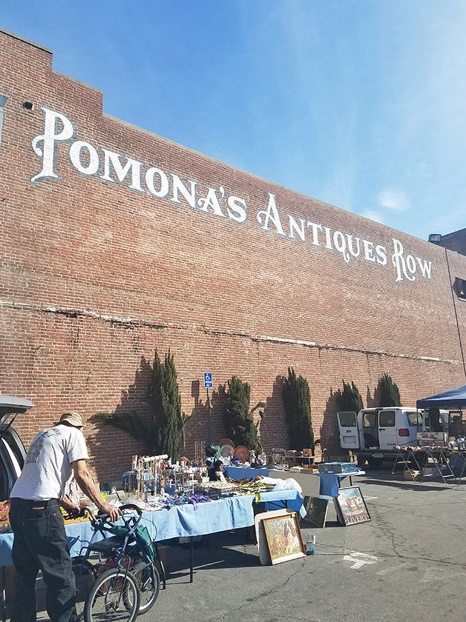 Under the watchful eye of Pomona's iconic brick wall signage, weekend vendors transform parking lots into pop-up museums of everyday history.