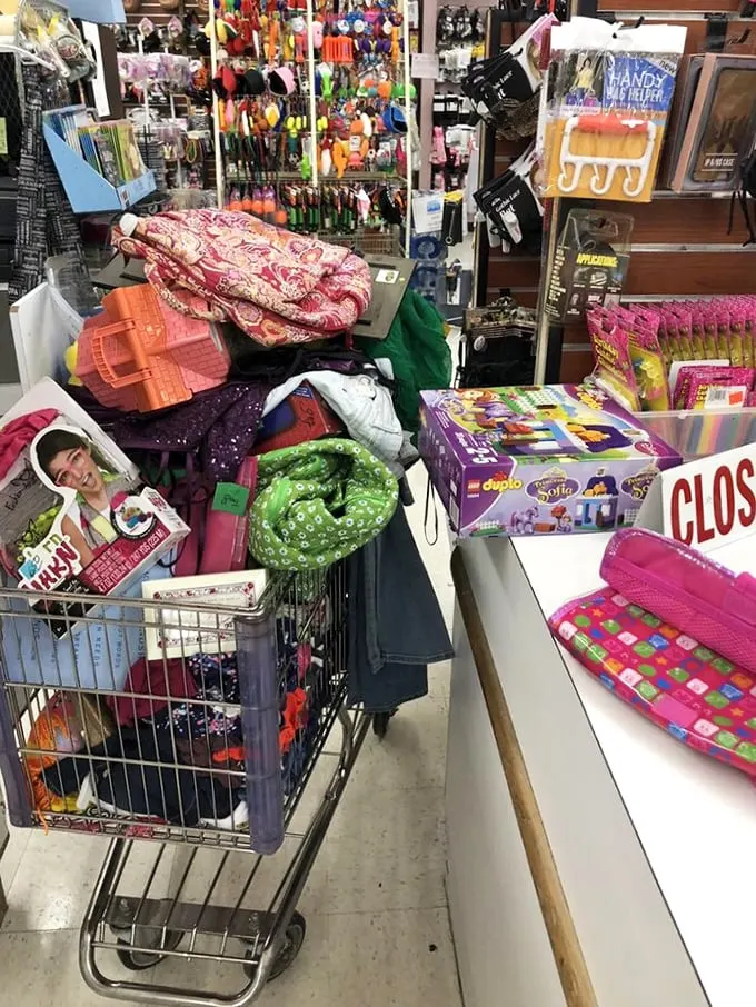 This cart tells the story of a successful expedition—toys, clothes, and household items all rescued from retail purgatory.