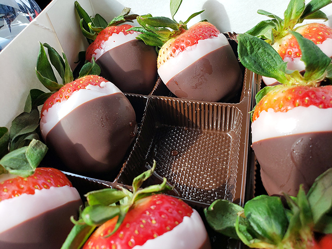 Chocolate-dipped strawberries wearing tuxedos—half formal dark chocolate, half elegant white, all dressed up for your taste buds' party.