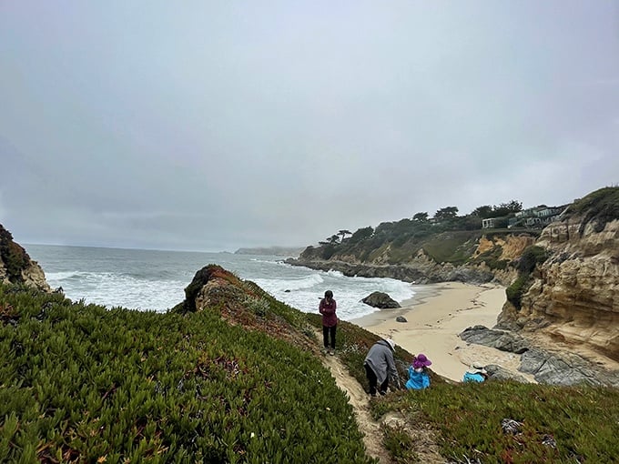 The path less traveled leads to this hidden coastal gem. Mother Nature showing off her rugged, untamed side just steps from civilization.