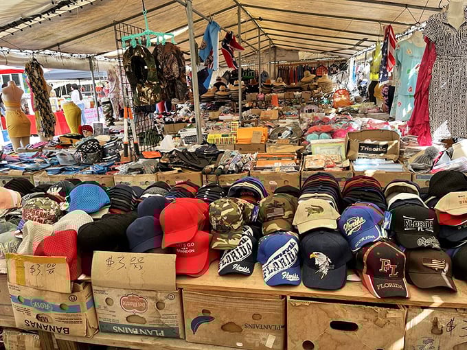 Baseball cap heaven—where your team loyalty, fishing passion, or desire to keep the sun off your nose can all be satisfied in one cardboard box display.