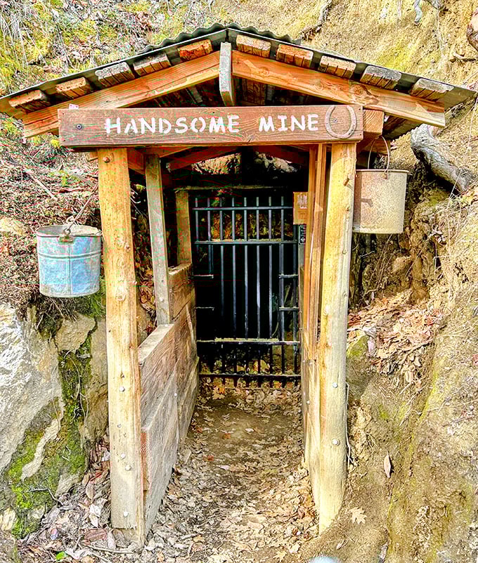 The Handsome Mine entrance – where prospectors once dreamed of striking it rich and modern visitors strike Instagram gold instead.