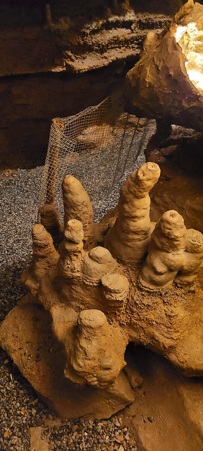 A forest of stone fingers reaches upward, each one a timeline of the earth's history, growing one tiny mineral deposit at a time.