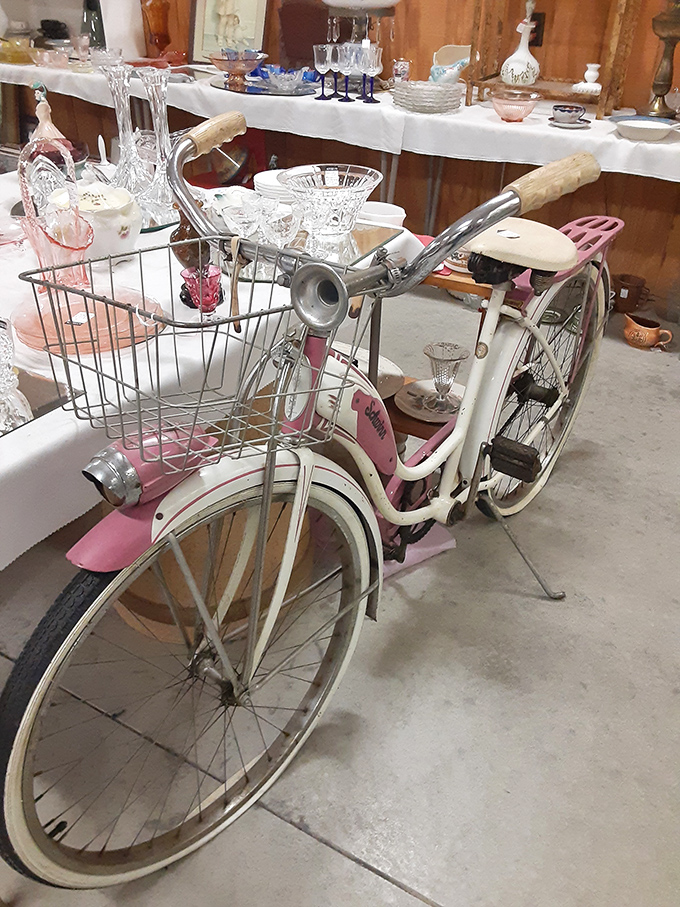 This pink vintage bicycle isn't just transportation – it's someone's childhood freedom, first date, or paper route, now artfully repurposed as décor.