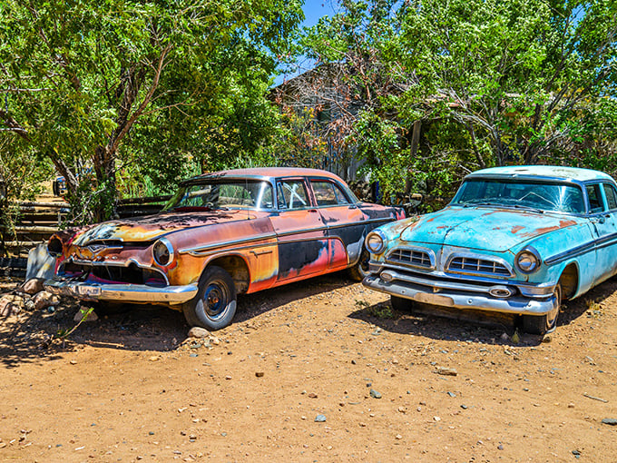 These vintage beauties aren't just parked—they're resting, telling stories of cross-country adventures and drive-in movie dates from decades past.