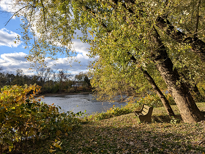That magical autumn light filtering through the trees makes this riverside bench the perfect spot for contemplating life's big questions.