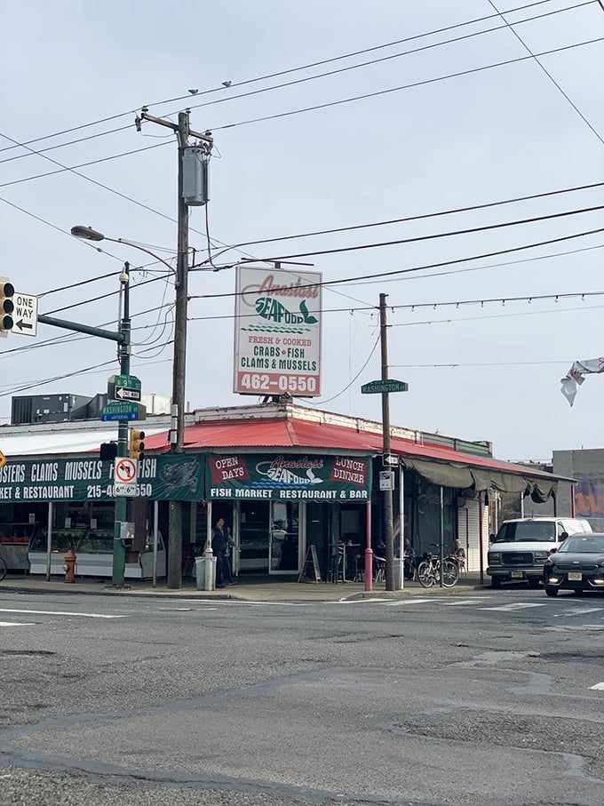 Corner seafood markets like Anastasi's are urban treasures—where neon signs promise fresh catches and local knowledge.