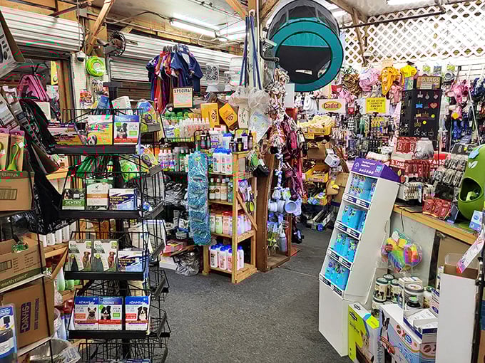 "Is this the food court or fashion district?" The joy of flea markets is never knowing what's around the next corner.