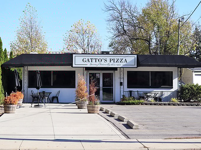 Clean, simple lines suggest a place that lets exceptional pizza do all the talking.