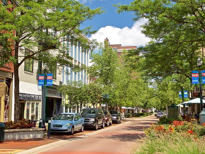 Kalamazoo's historic storefronts: "Behind these vintage facades lies a retirement haven where culture and affordability dance together like old friends."
