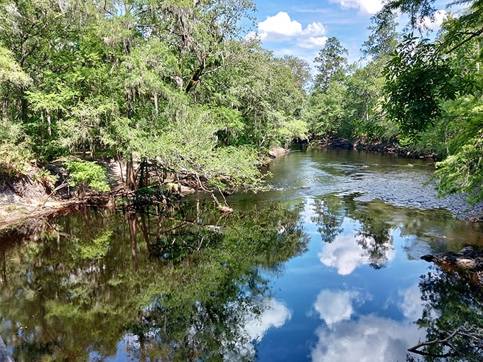 Nature's mirror captures clouds and dreams. O'Leno's river reflections double the beauty of this hidden gem.