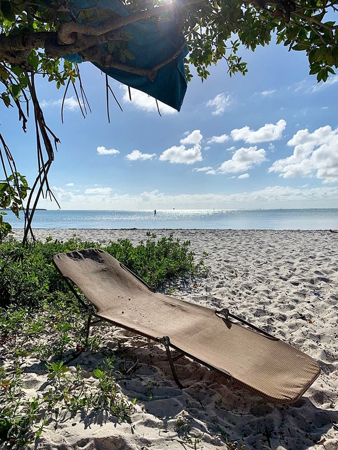 City skyline views across calm bay waters prove that sometimes the best beaches hide in plain sight.