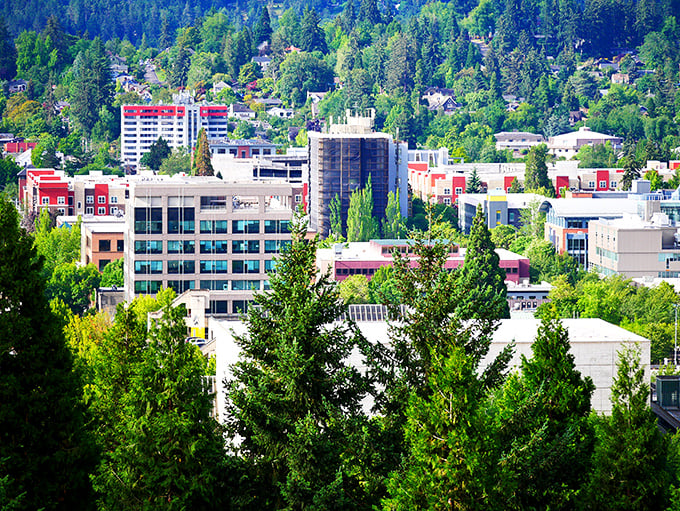Sculptural elements brighten Eugene's walkable core. Free senior bus passes make this artistic haven accessible without draining your monthly check.