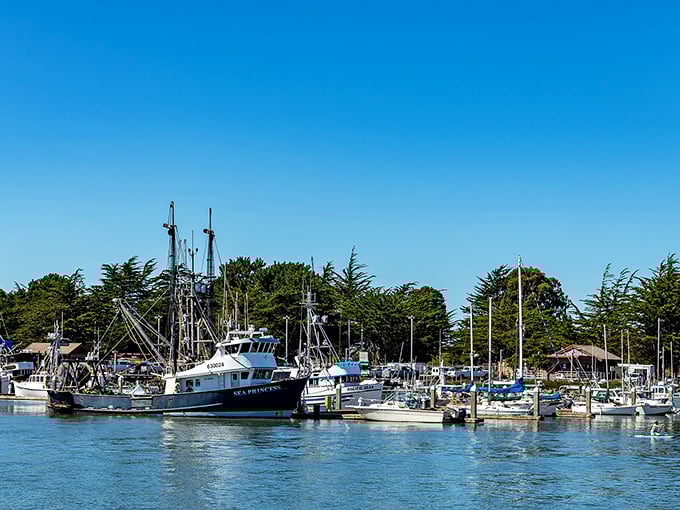Fishing boats bob in Eureka's harbor—where seafood goes from boat to plate without the coastal markup that requires a second mortgage.