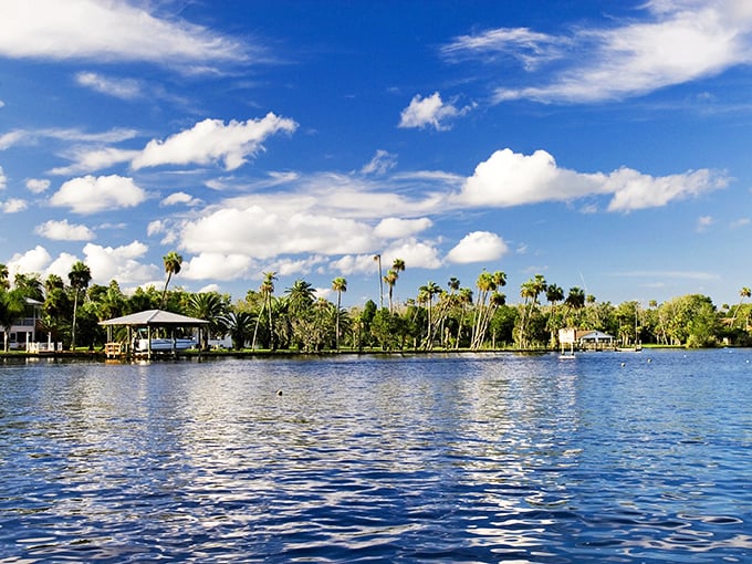 Crystal-clear waters reflect Florida's blue skies in Homosassa Springs, where nature's greatest show comes with small-town ticket prices.