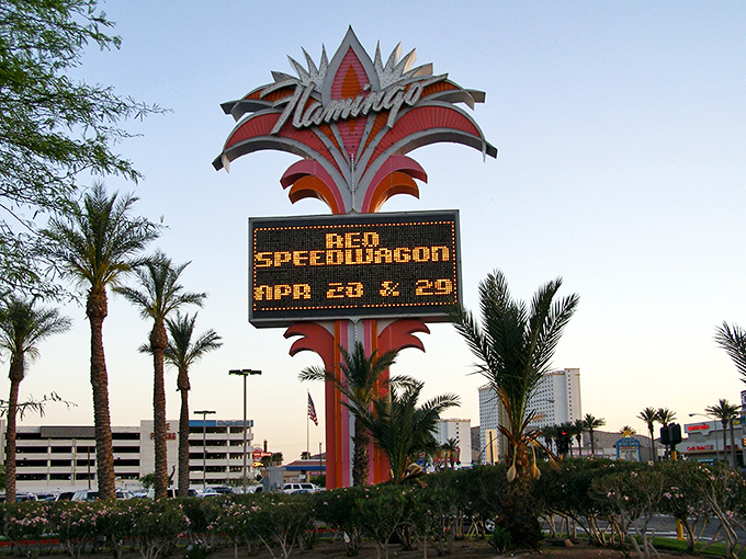 The iconic Flamingo sign promises entertainment that won't empty your wallet—a retiree's desert oasis on a budget.
