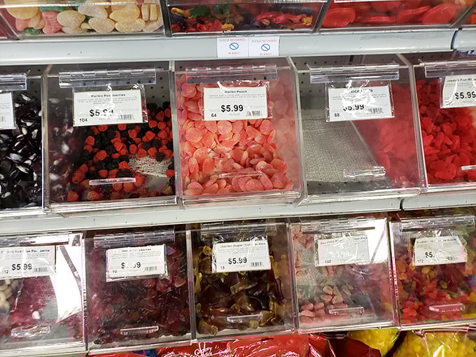 These aren't just gummy candies—they're time machines in clear plastic bins, no DeLorean required.