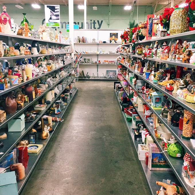 Endless aisles of household treasures stretch further than a grocery store during pre-holiday panic shopping.