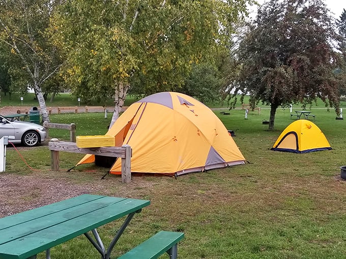 Camping under Wisconsin skies – where the stars perform nightly shows for free and morning coffee tastes better when brewed outside.