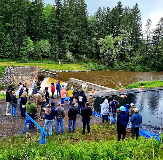 Locals gather at the dam – part community ritual, part environmental education, and entirely more interesting than anything on your phone.