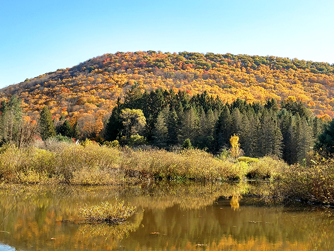Fall foliage reflecting in still waters – nature's way of showing off by creating two masterpieces for the price of one view.