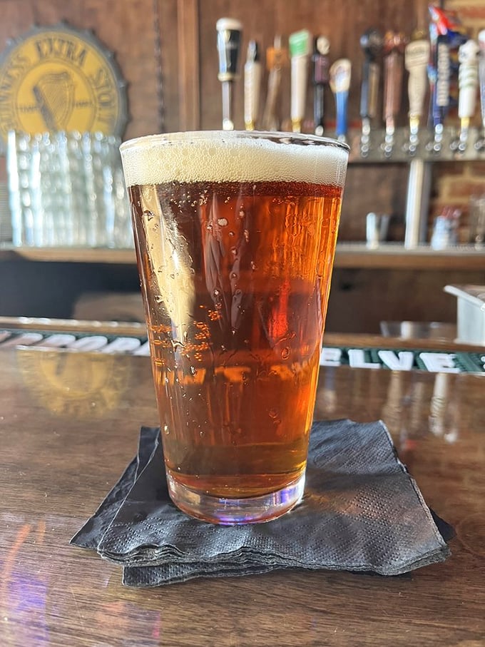Amber liquid gold catching the light just so—this isn't just beer, it's liquid sunshine with the perfect foam crown.