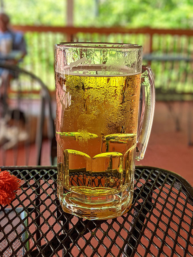 A frosty beer on the patio—where conversations flow as easily as the golden liquid in this perfectly chilled mug.